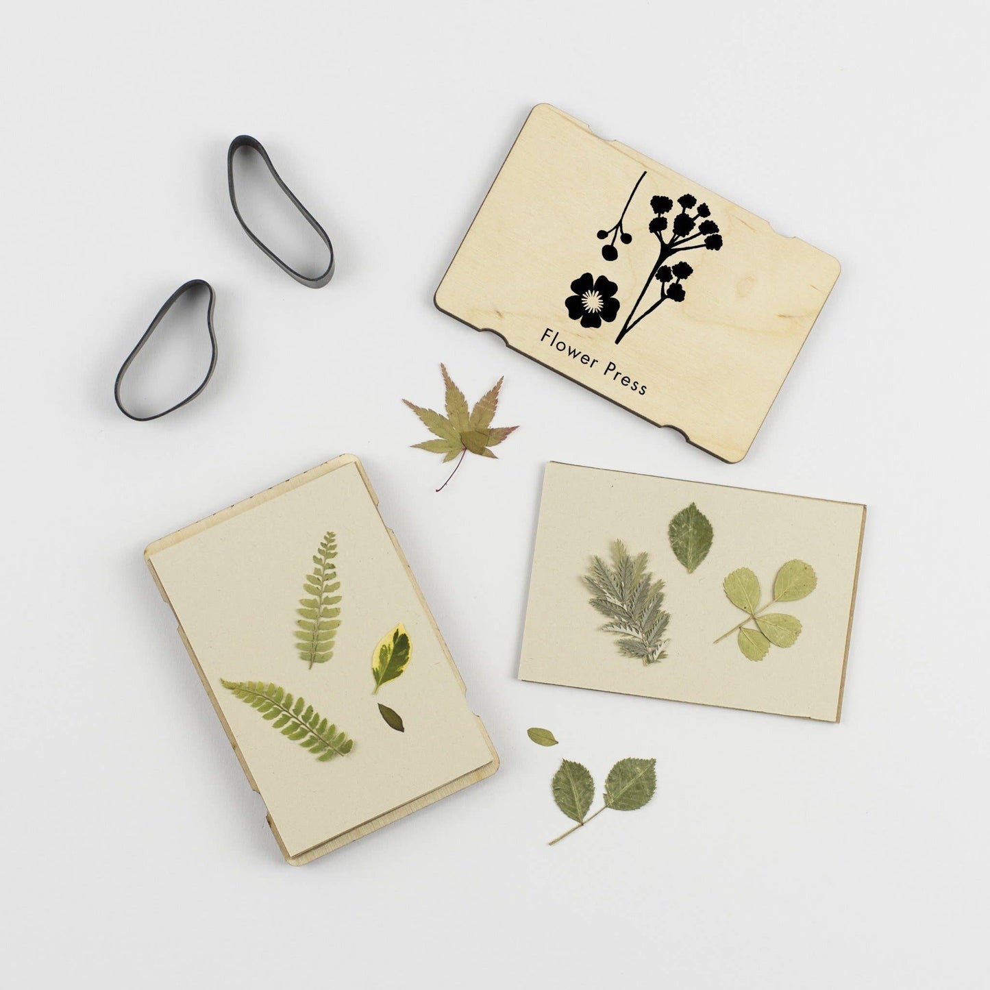 Pocket Flower Press / Sillohette – Elm